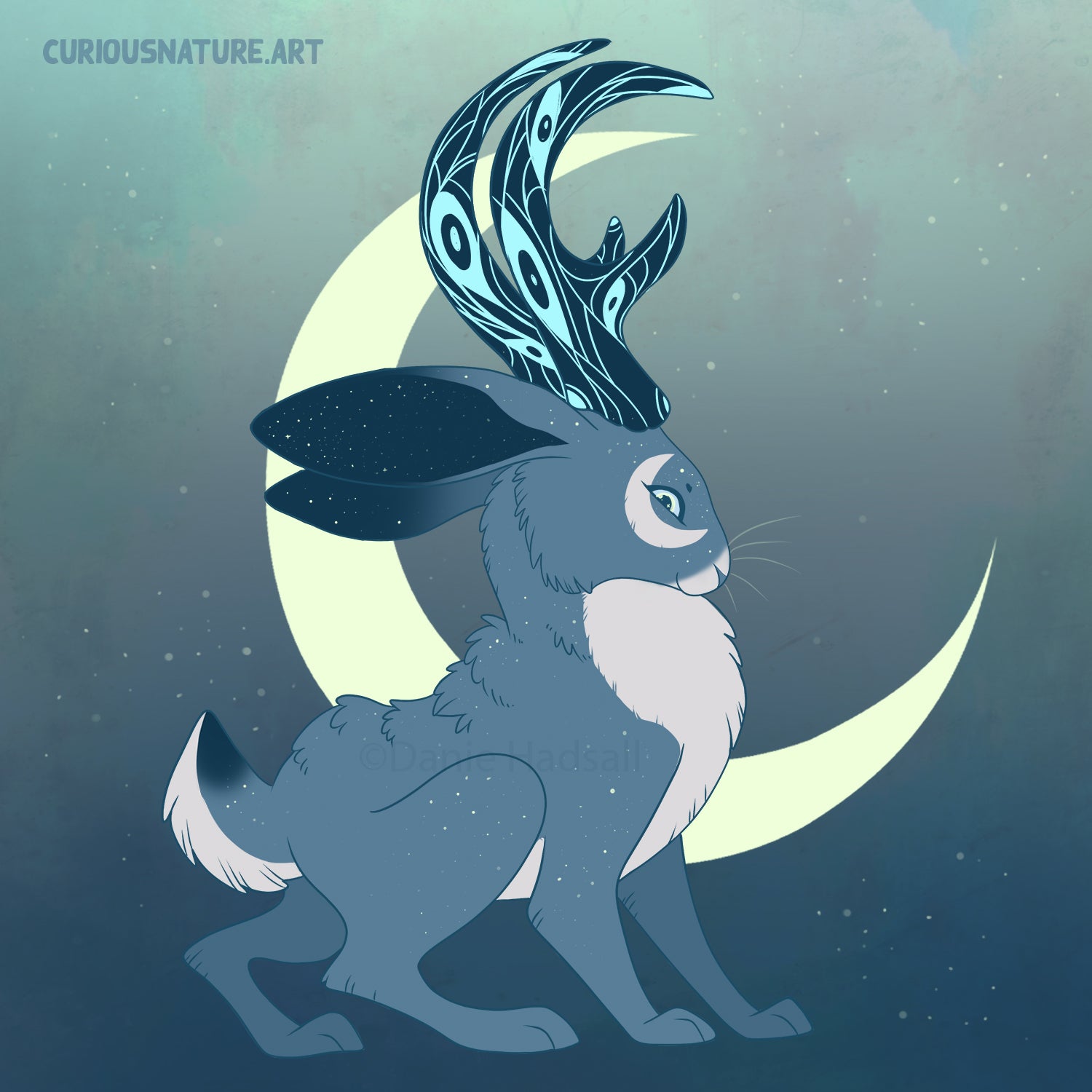 Celestial – Curious Nature Studio