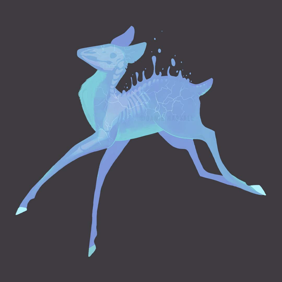 Fauna – Curious Nature Studio